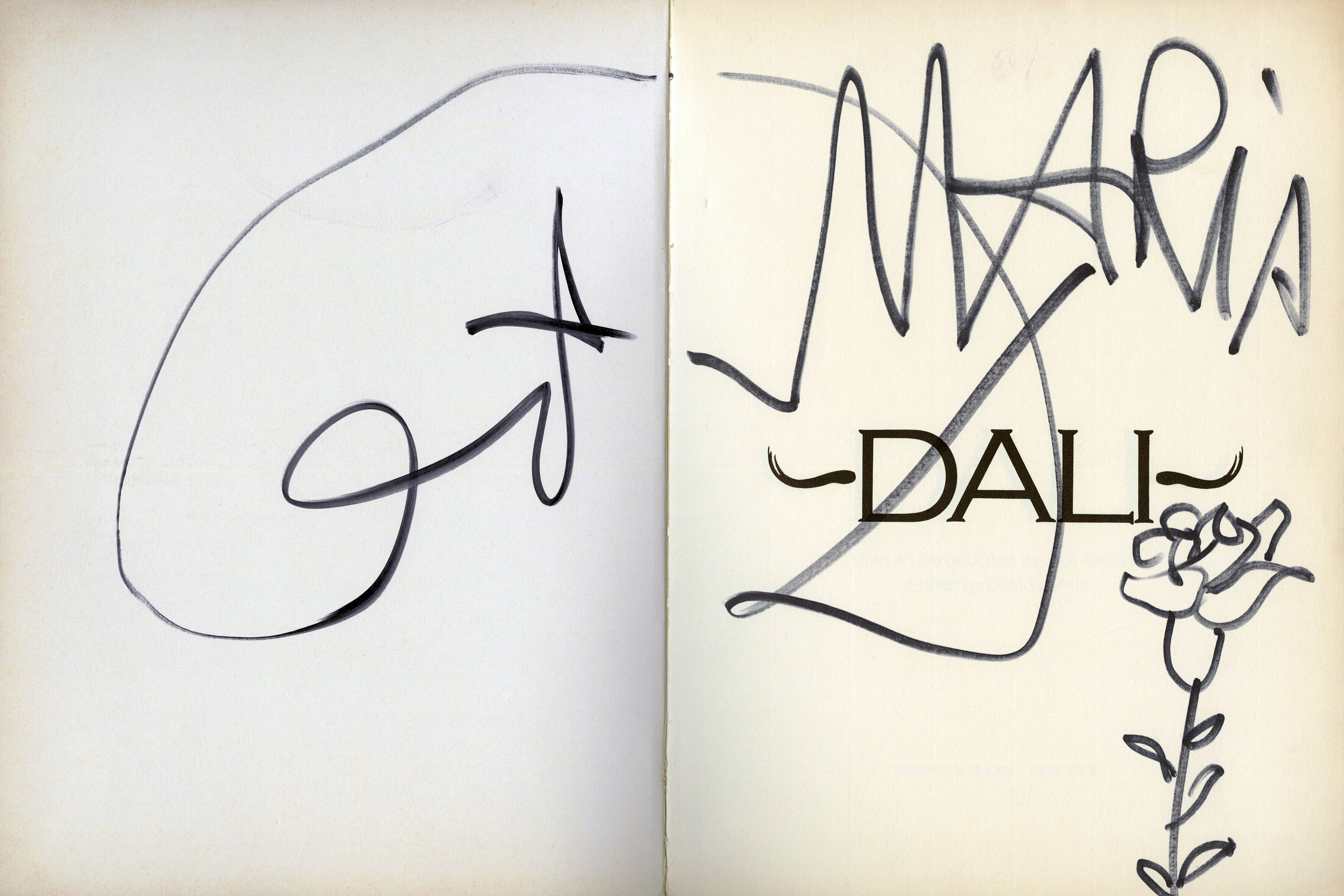 Salvador Dali Autograph