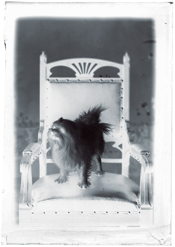 Harry Houdini - Limited Edition, Modern Archival Print - House of Roulx